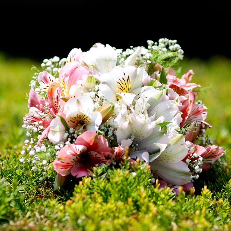 Florcrafter Florist - HOME
